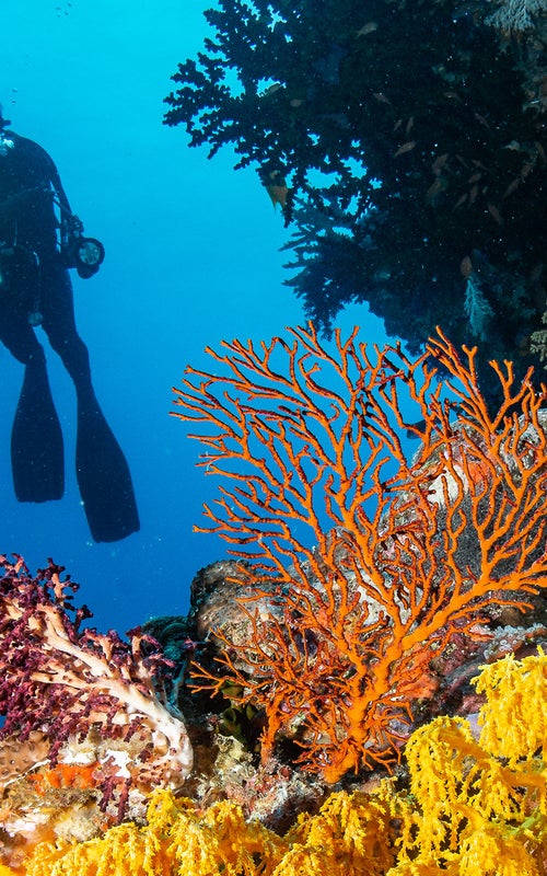 10 Best Tropical Adventures in the World