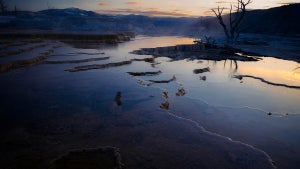 How to Book the Best Campsites in National Parks