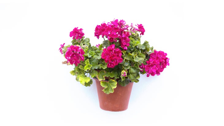 Seven Gifts that Keep Giving, and Giving, and Giving