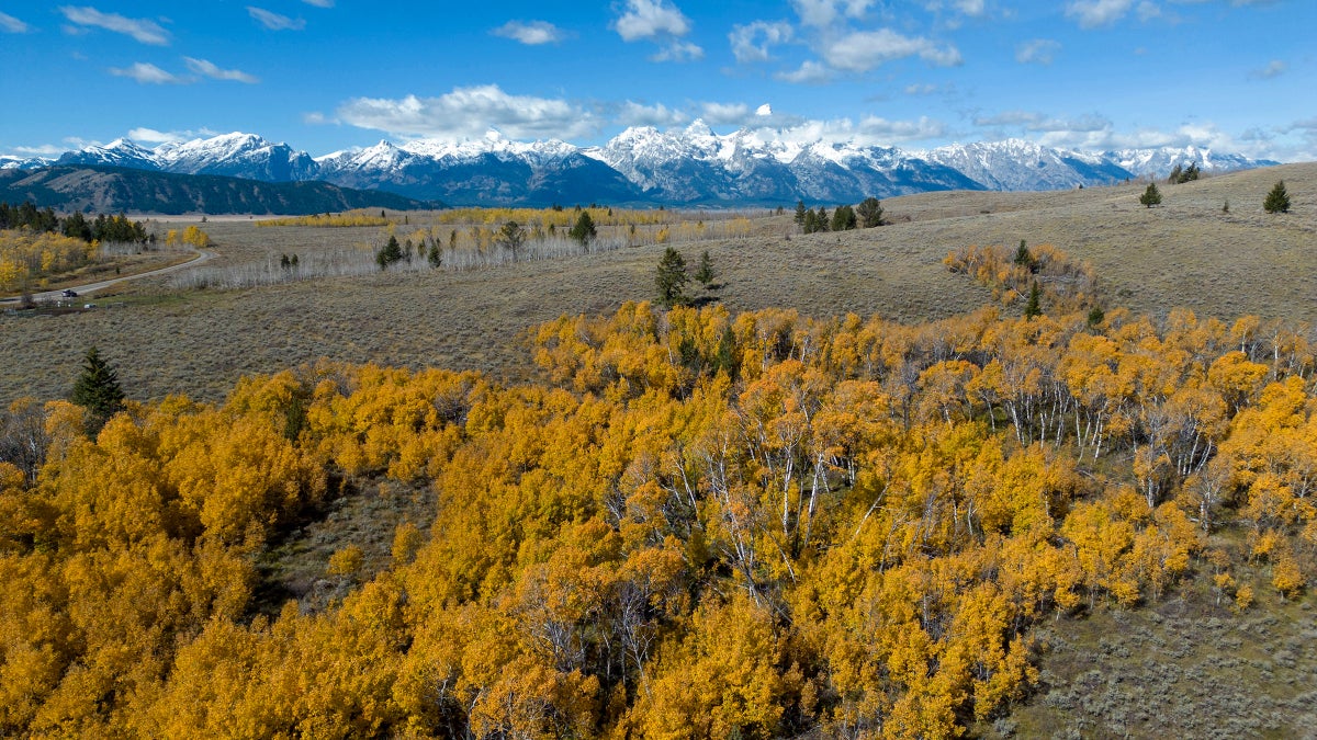 Wyoming Backs Down from Selling its Grand Teton Land