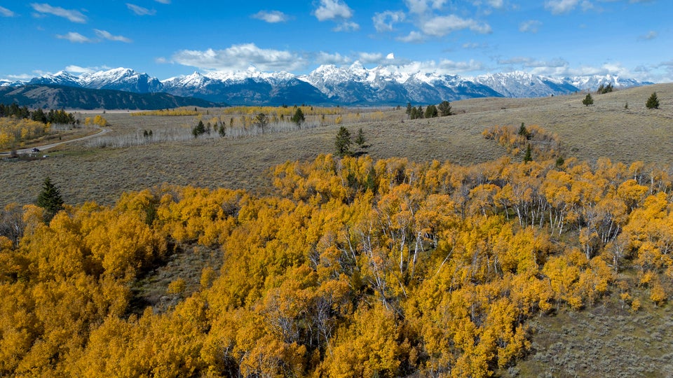 Wyoming Backs Down from Selling its Grand Teton Land