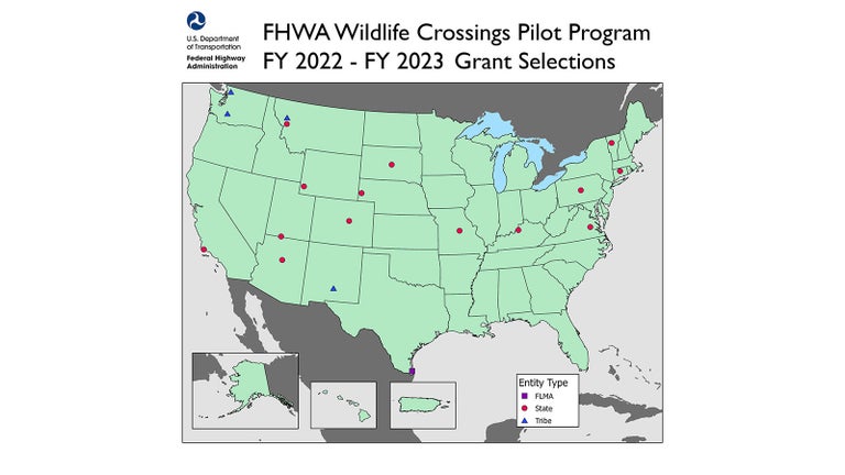 Pete Buttigieg Is Serious About Reducing Wildlife Vehicle Collisions