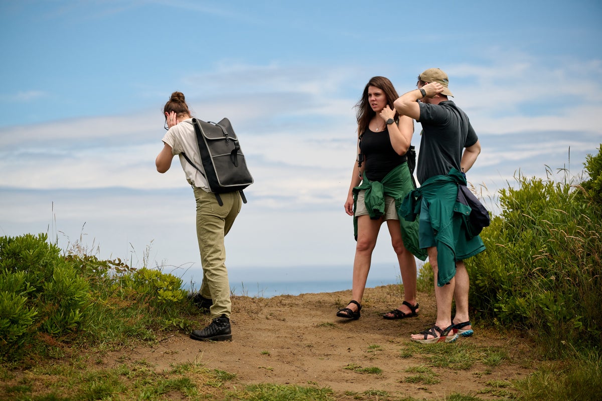 A Treasure Hunt on Block Island Reveals Nature’s Small Wonders