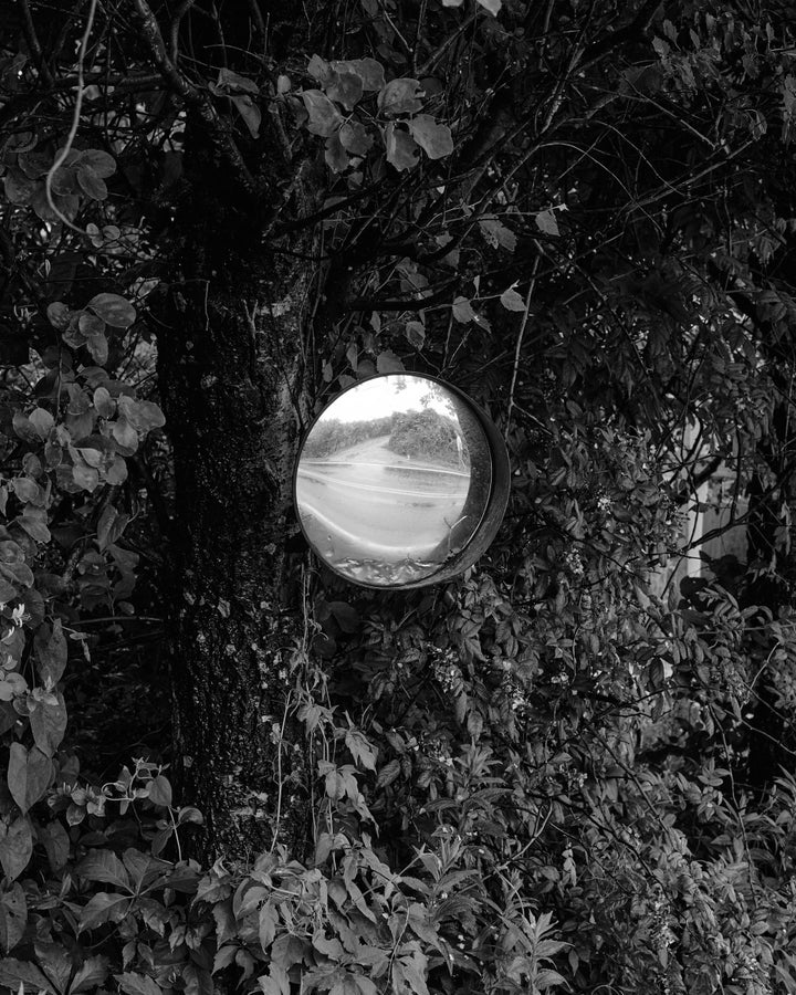 A Treasure Hunt on Block Island Reveals Nature’s Small Wonders