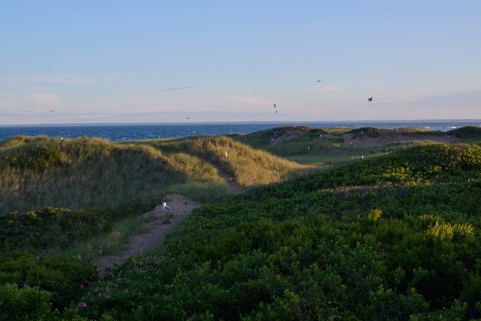 A Treasure Hunt on Block Island Reveals Nature’s Small Wonders