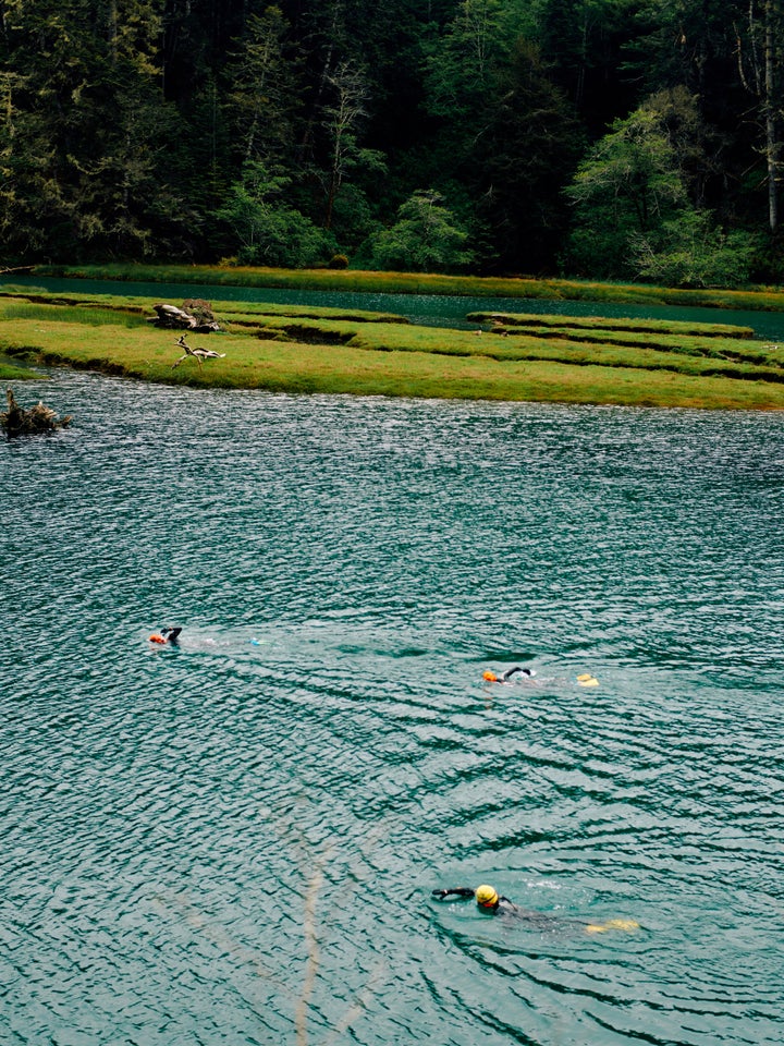 Cold-Water Swimming Is for More than Just Wim Hof Worshippers