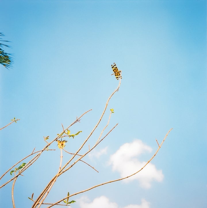 Bored of Hiking Trails? Try Slough Slogging Through a Swamp.