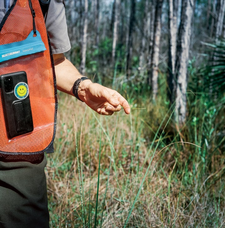 Bored of Hiking Trails? Try Slough Slogging Through a Swamp.