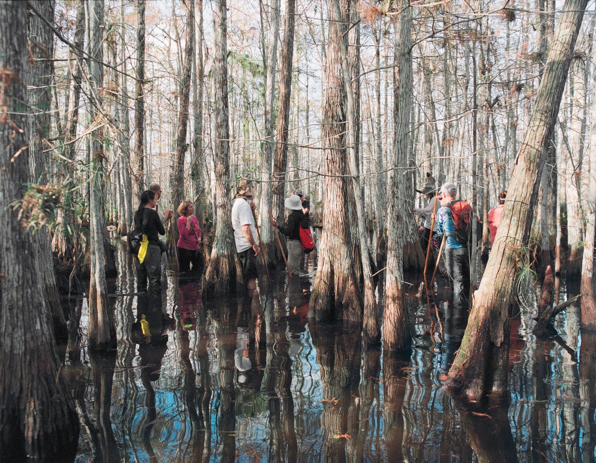 Bored of Hiking Trails? Try Slough Slogging Through a Swamp.