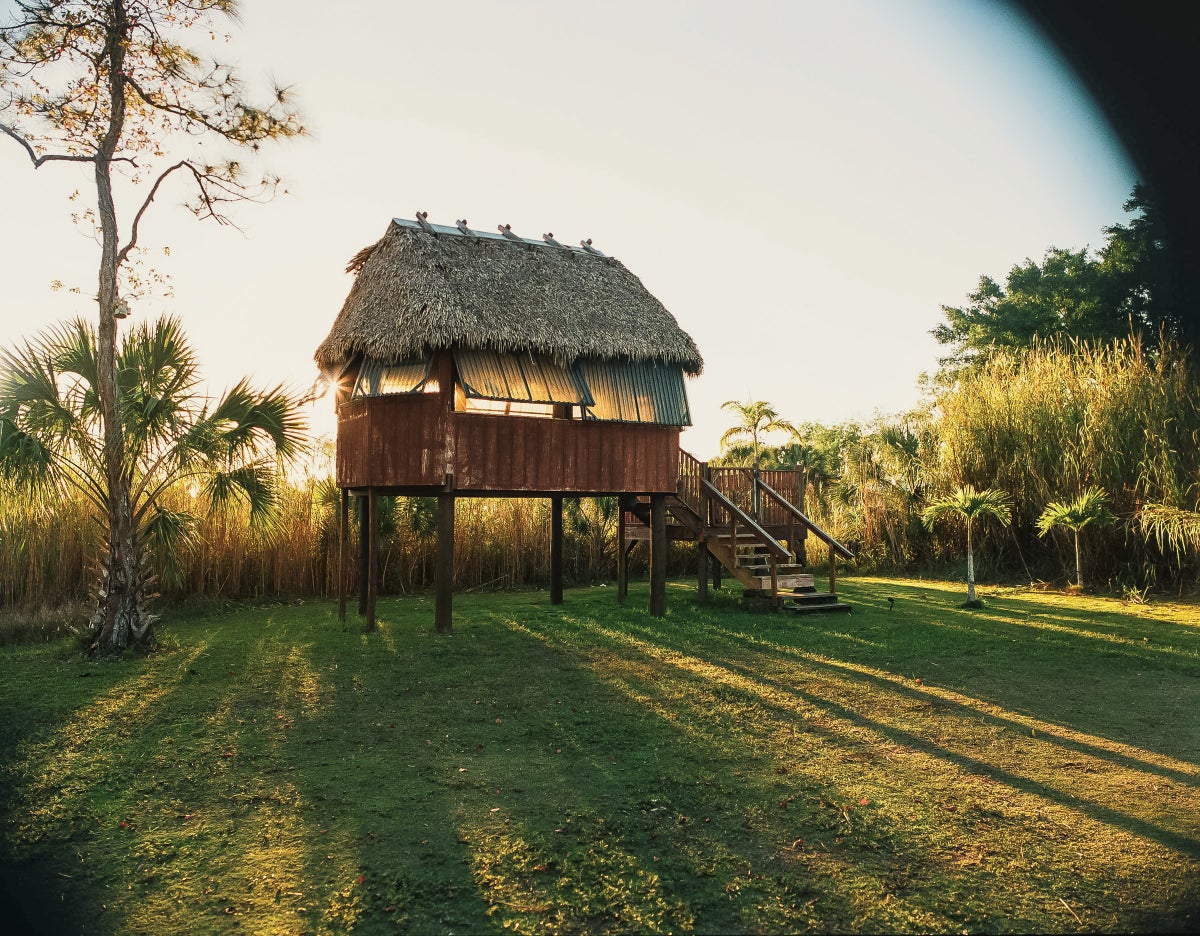 Bored of Hiking Trails? Try Slough Slogging Through a Swamp.