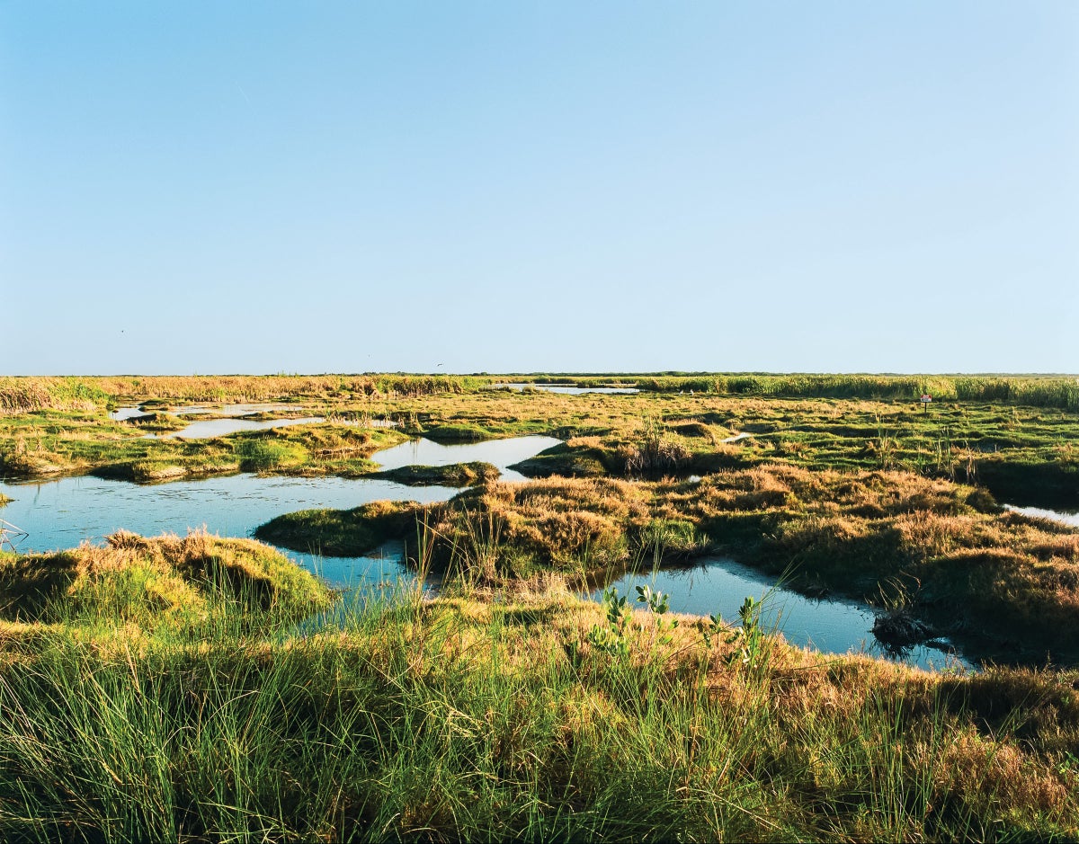 Bored of Hiking Trails? Try Slough Slogging Through a Swamp.