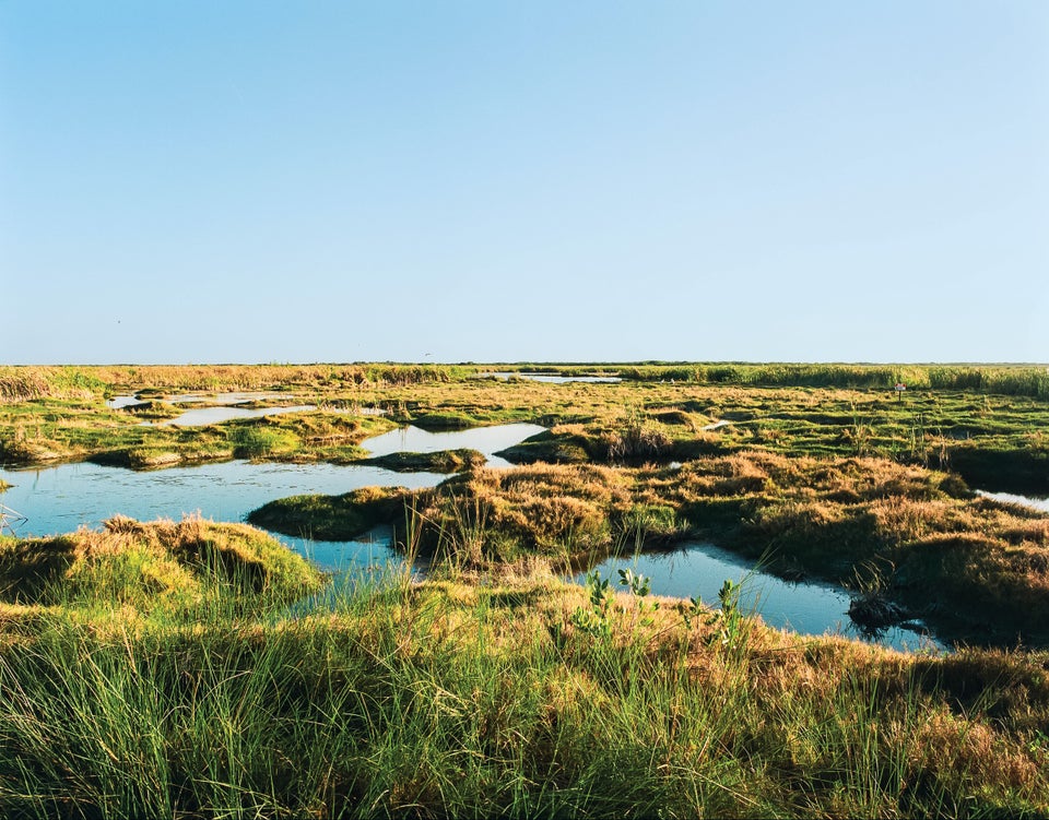 Bored of Hiking Trails? Try Slough Slogging Through a Swamp.