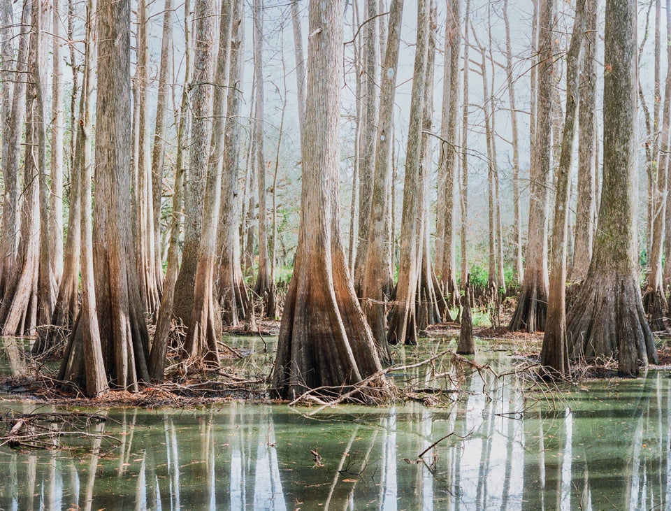 Bored of Hiking Trails? Try Slough Slogging Through a Swamp.