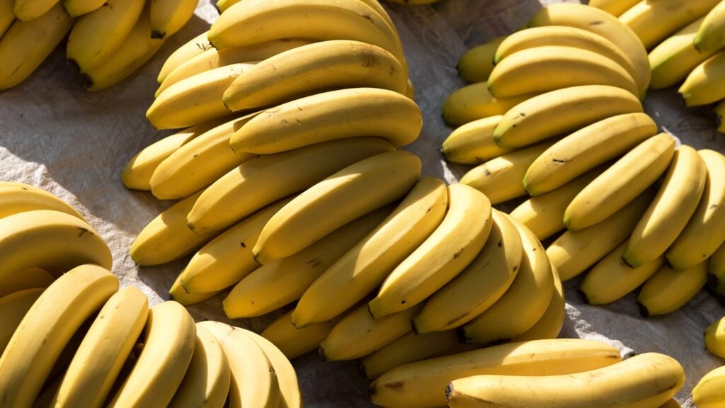 'The Fruit Cure' Is a Cautionary Tale of Extreme Diets