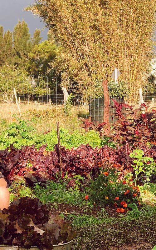 14 of the Best Family Trips That Embrace Outdoor Adventure