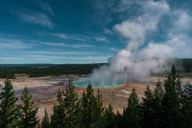 The Best of Yellowstone