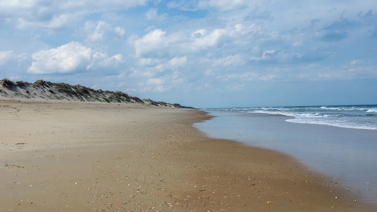 The 21 Best East Coast Beaches