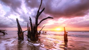 The 21 Best East Coast Beaches