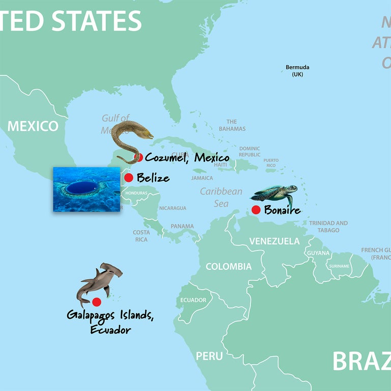The Best Scuba Diving in the World: 12 Must-Visit Destinations