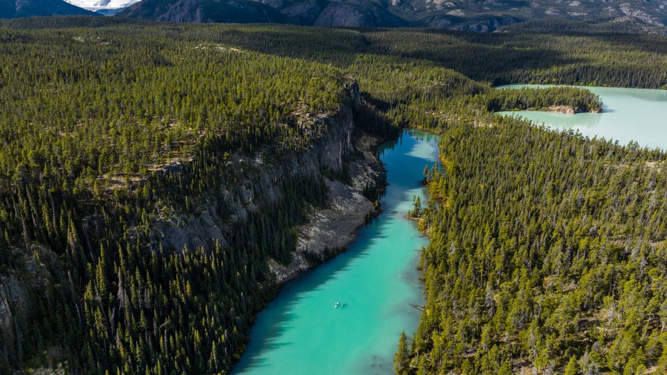 Journey into The Great Wilderness