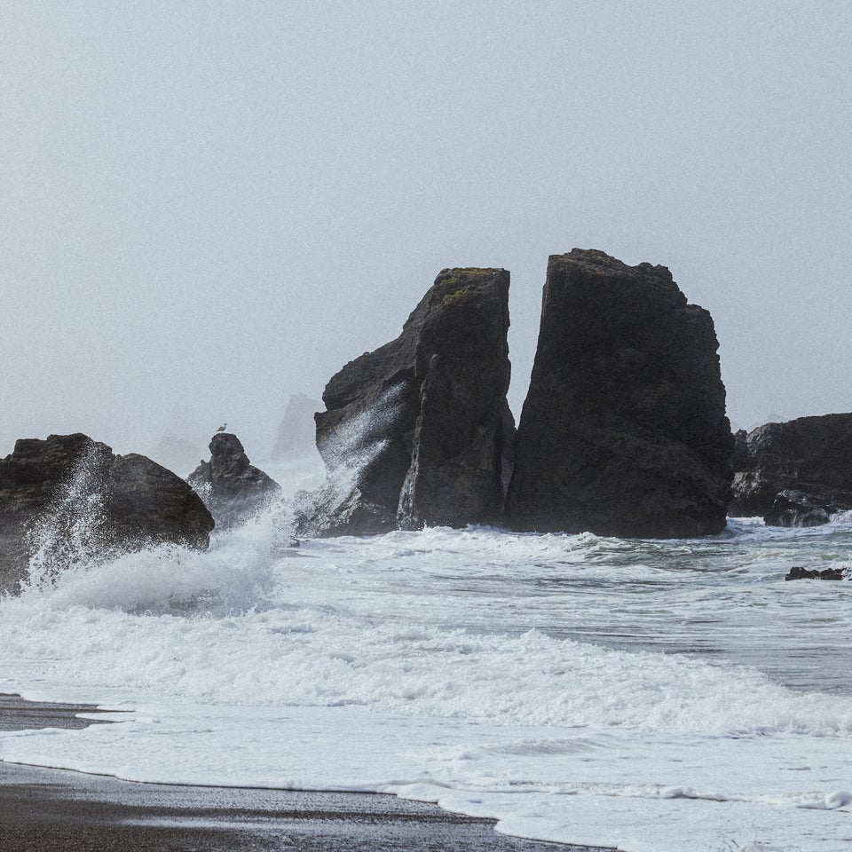 The 4 Best Eco-Friendly Ocean Adventures