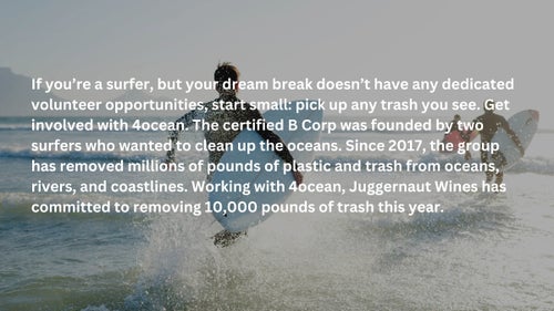 The 4 Best Eco-Friendly Ocean Adventures