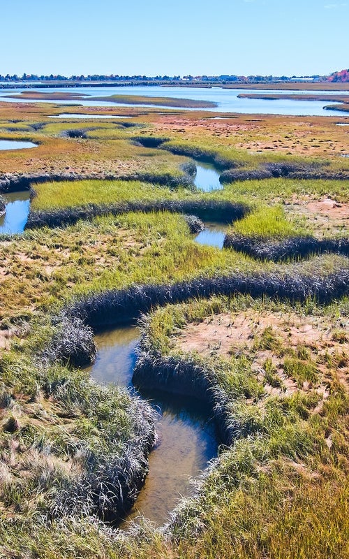 The 4 Best Eco-Friendly Ocean Adventures