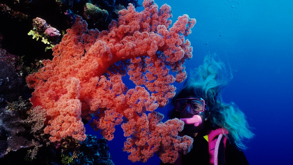 The 4 Best Eco-Friendly Ocean Adventures