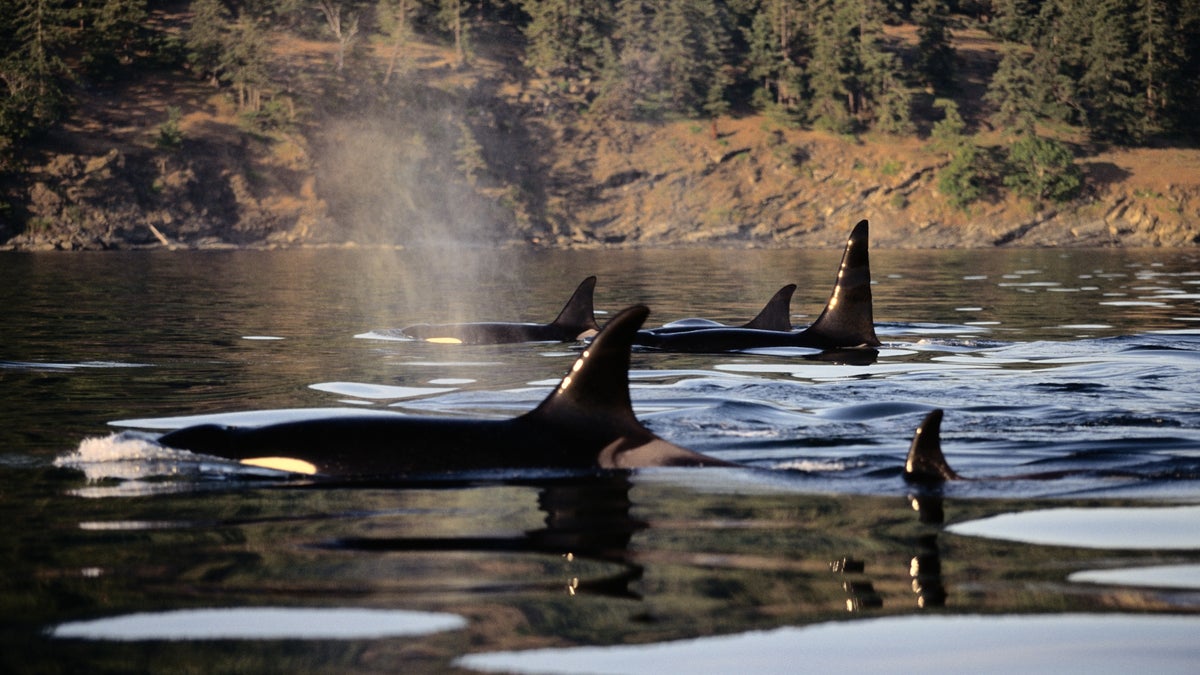 The 4 Best Eco-Friendly Ocean Adventures