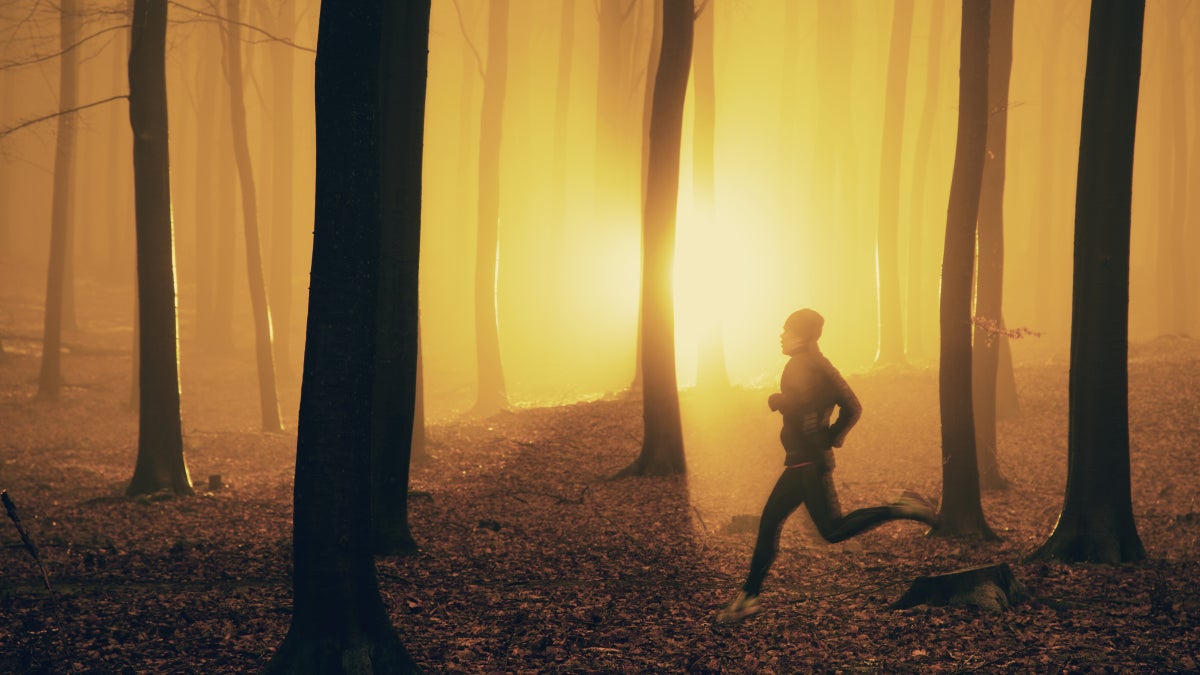 Persistence Hunting Was Key to Our Running Evolution