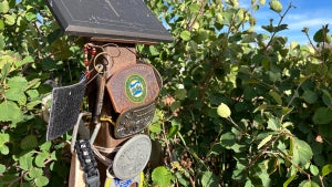 The Storm King Memorial Trail Honors Fallen Firefighters