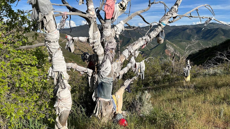 The Storm King Memorial Trail Honors Fallen Firefighters