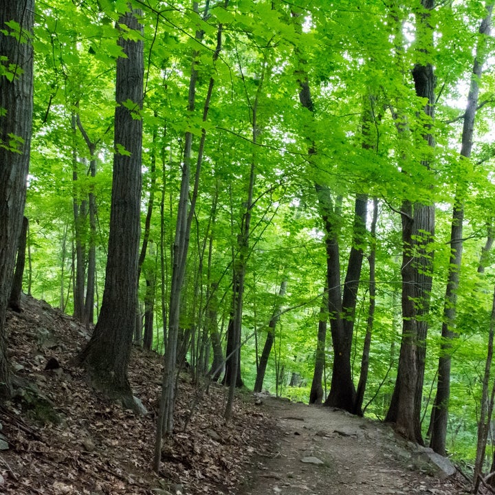 Find Your Footing on America’s Roughest Trails