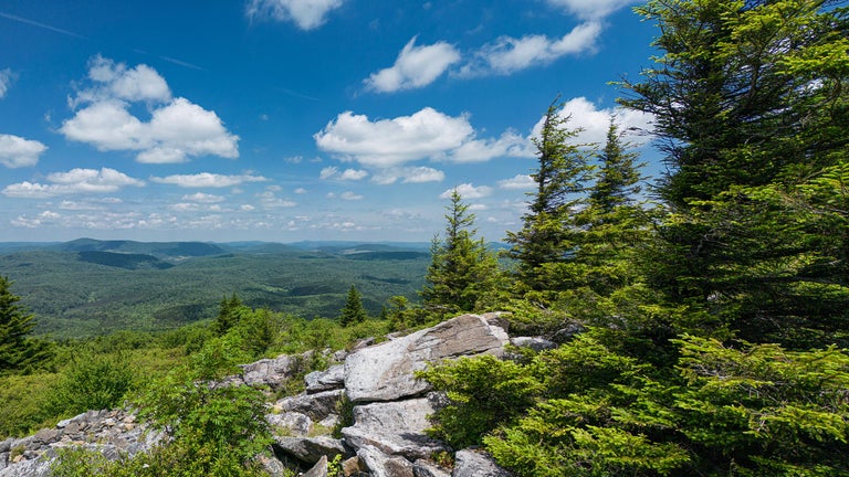 The Ultimate Outdoor Adventure Guide to West Virginia