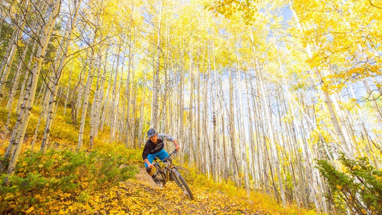 The 10 Best Bike Towns in the U.S., Ranked