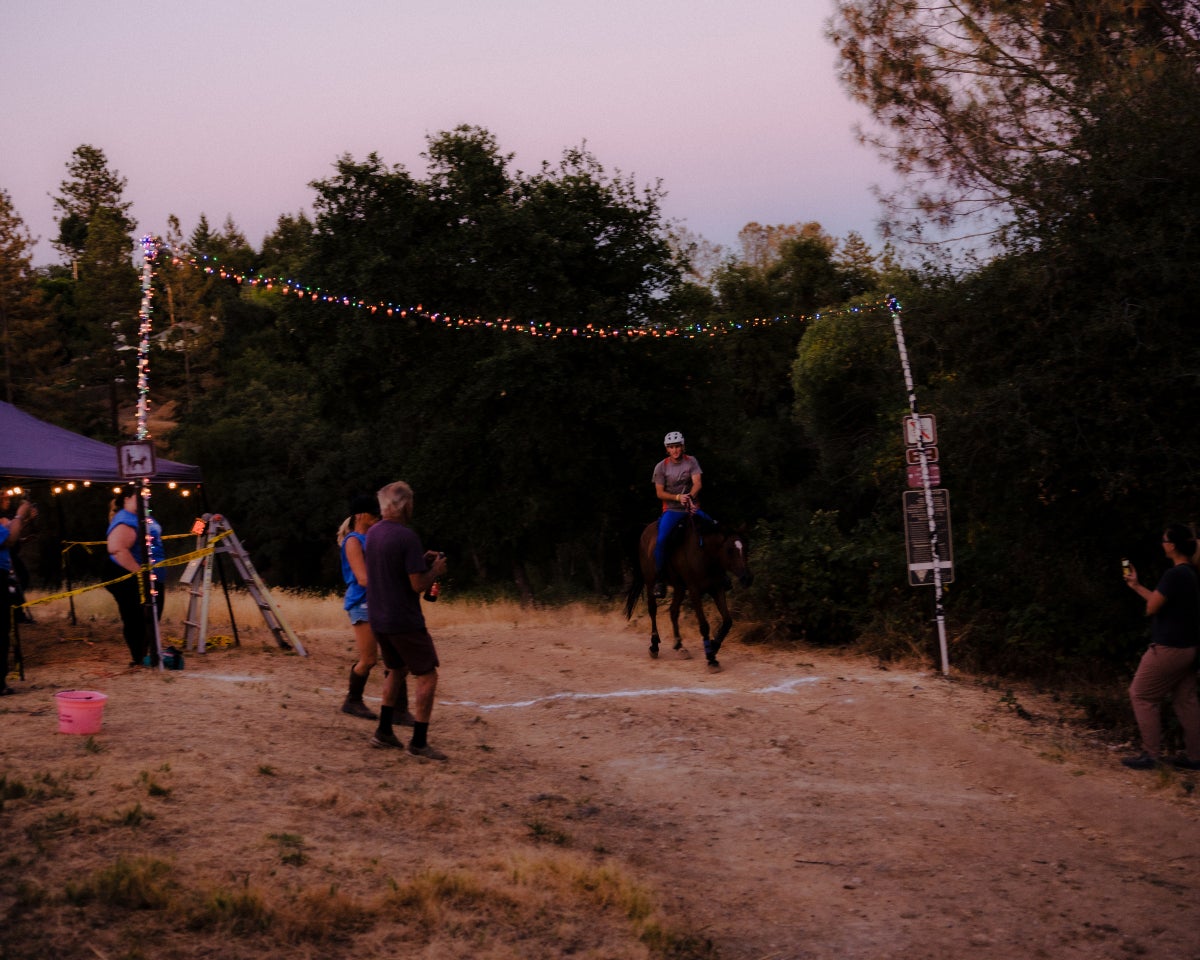 The Western States Trail Ride Is a Wild 100-Mile Race For Horses