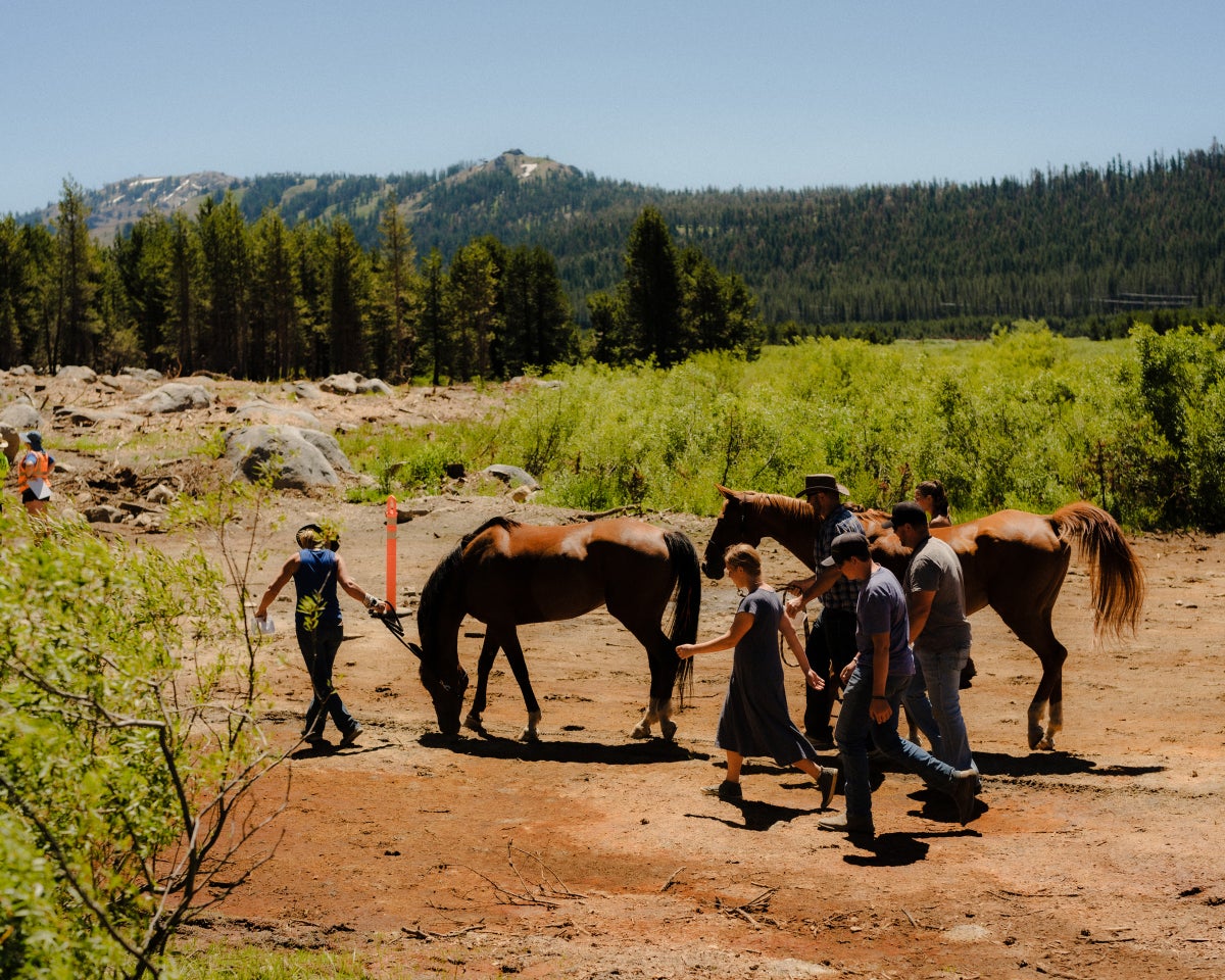 The Western States Trail Ride Is a Wild 100-Mile Race For Horses