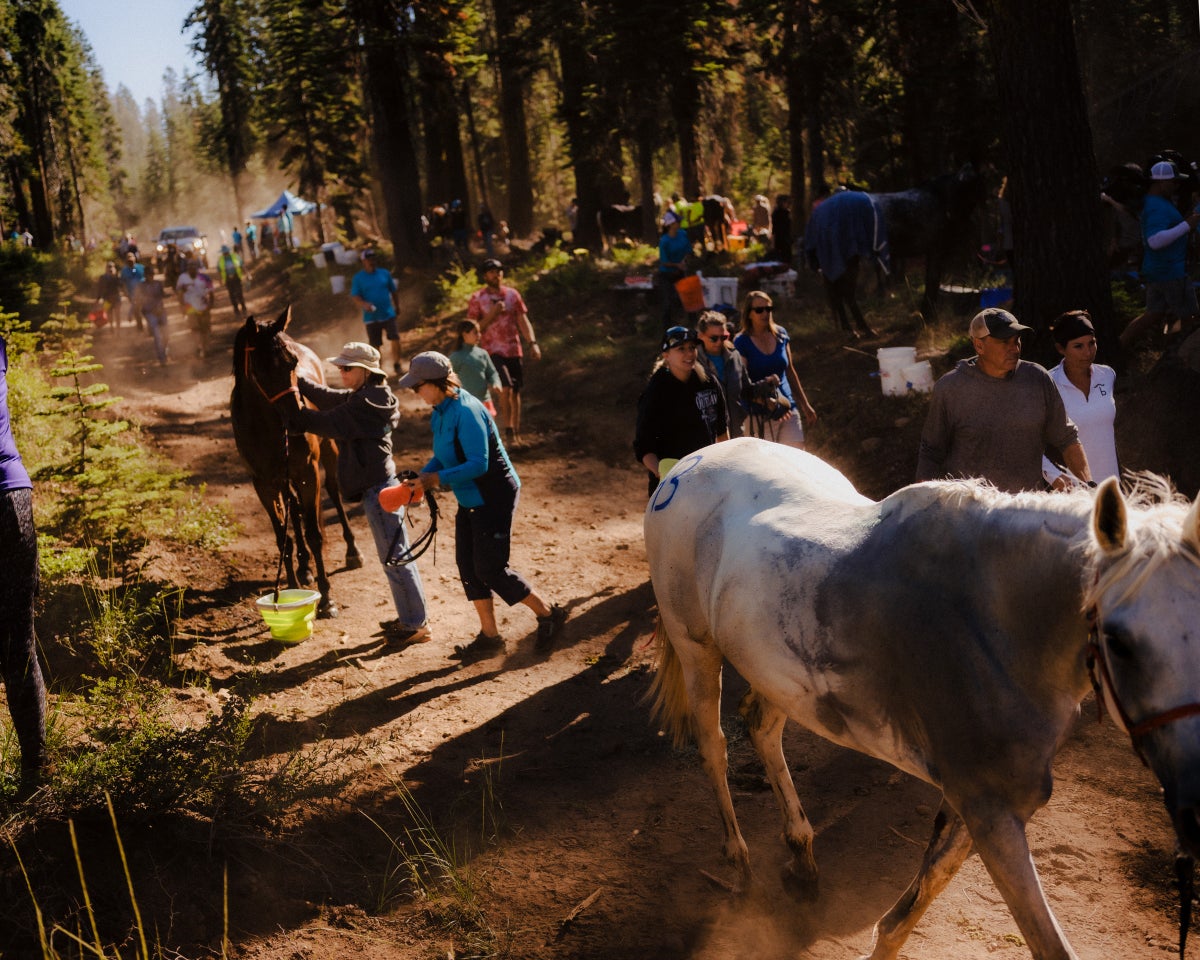 The Western States Trail Ride Is a Wild 100-Mile Race For Horses