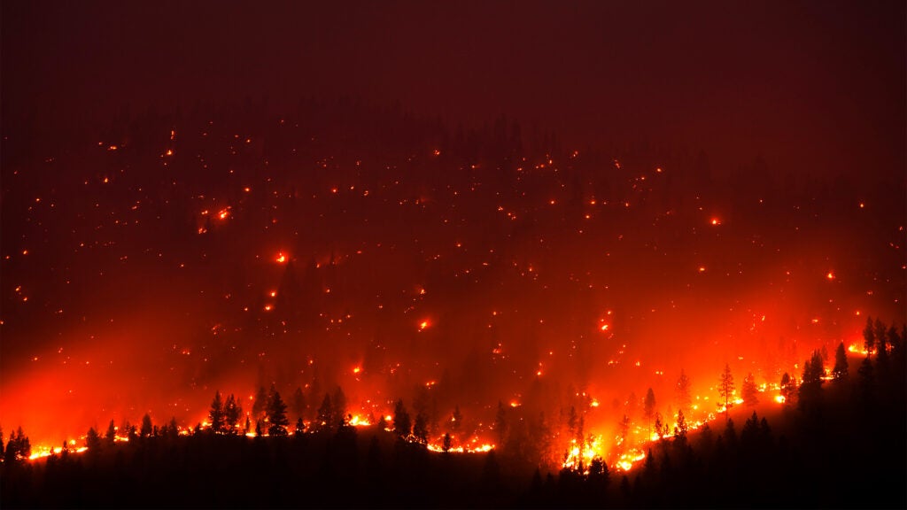 Wildfire Forces Evacuation of Jasper Nataional Park