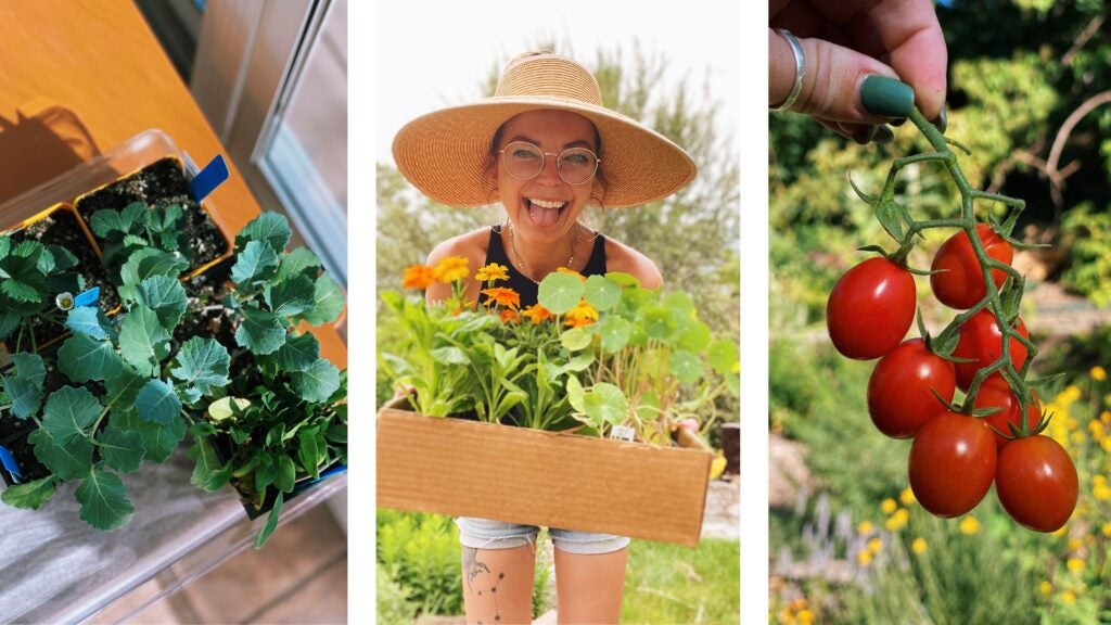 Gardening for Beginners: How to Grow and Keep Plants Alive