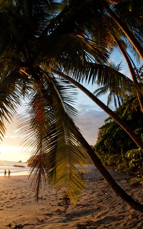 The 15 Most Beautiful Beaches in the World
