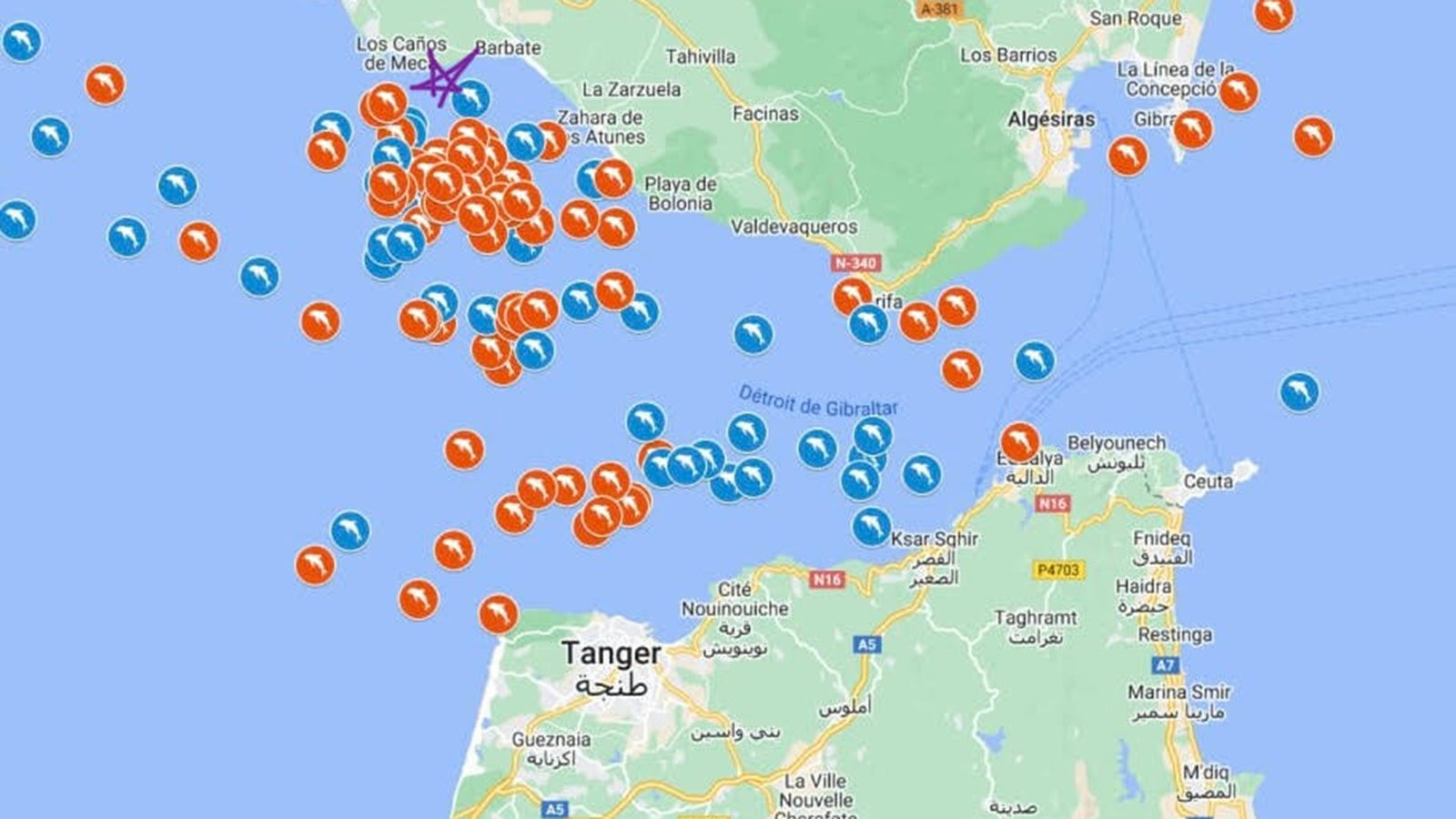 We Sailed Through Orca Alley, Where Whales Are Attacking Boats