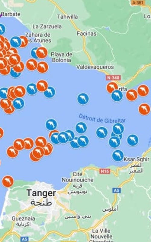 We Sailed Through Orca Alley, Where Whales Are Attacking Boats