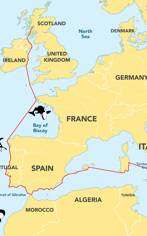 We Sailed Through Orca Alley, Where Whales Are Attacking Boats