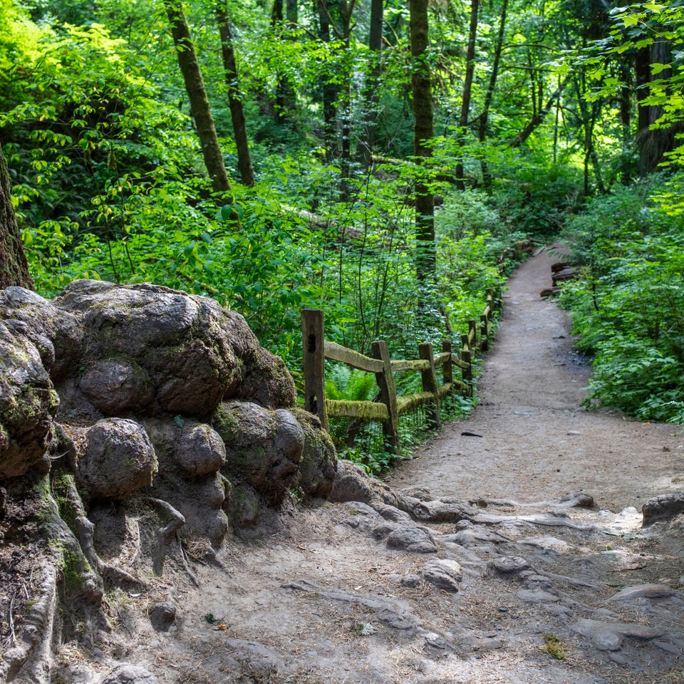 The Local’s Guide to Trail Running in the Pacific Northwest