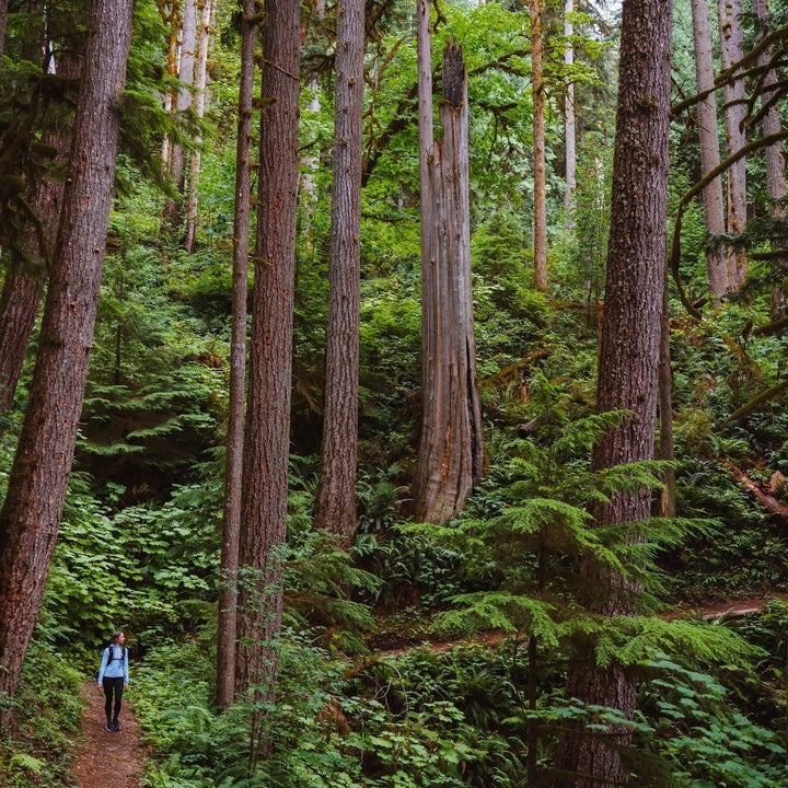 America’s Best High-Mileage Day Hikes
