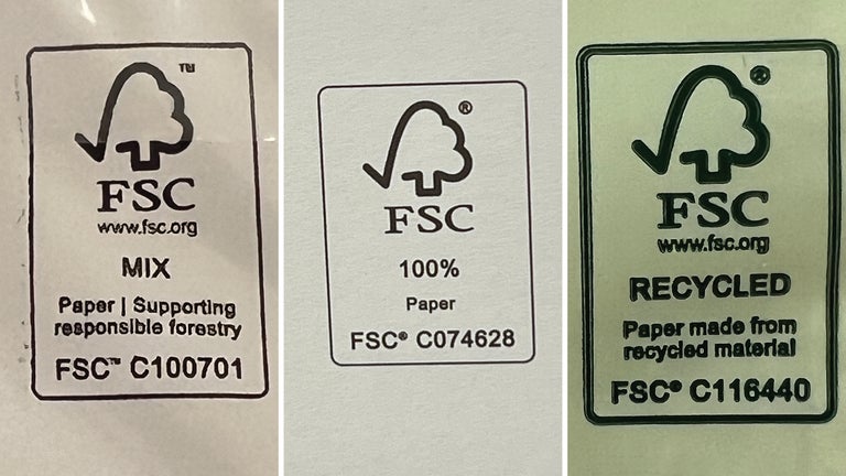 Toilet Paper Is Wasteful. Bidets Are Better.