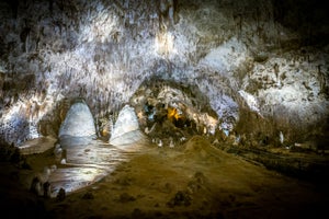 Why a Ranger’s Essay About a Dropped Cheetos Bag Went Viral