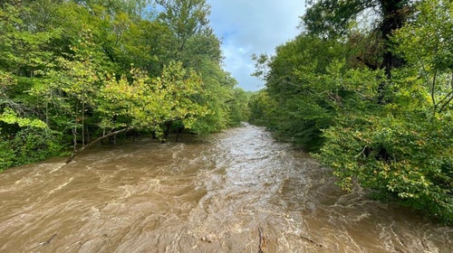 Hurricane Helene Closes "More Than a Third" of Appalachian Trail