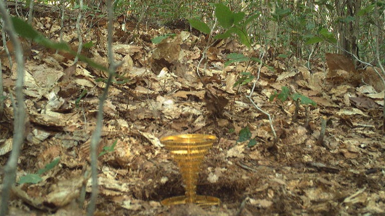 Jason Rohrer's $23,000 Treasure Hunt Kicks Off in New England